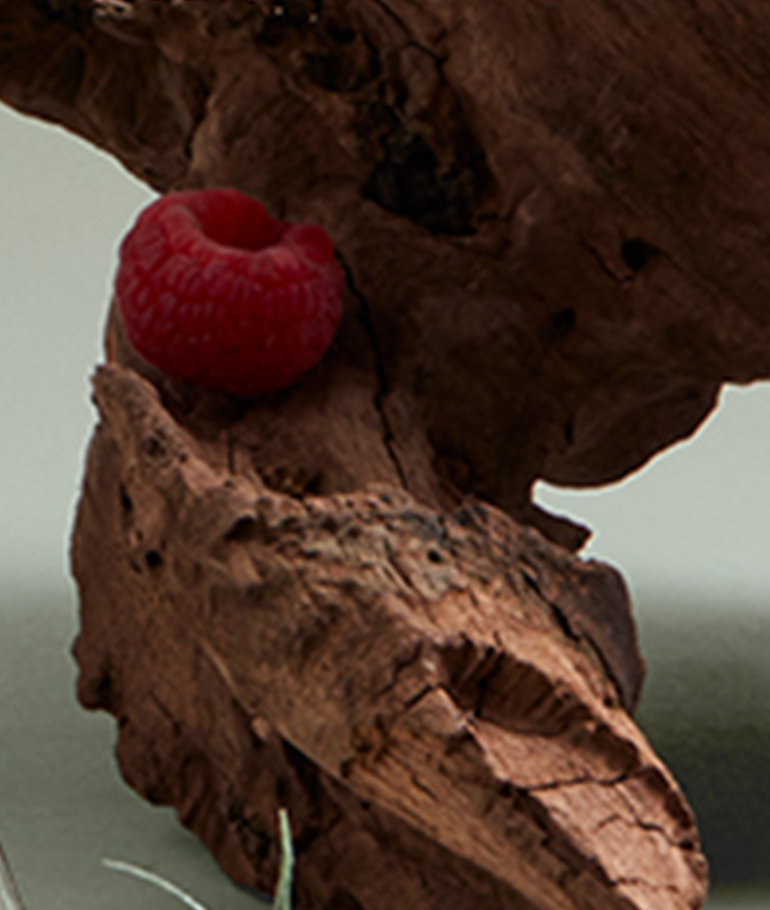 AN OLFACTIVE INTRODUCTION: THE DANDY | Penhaligon's